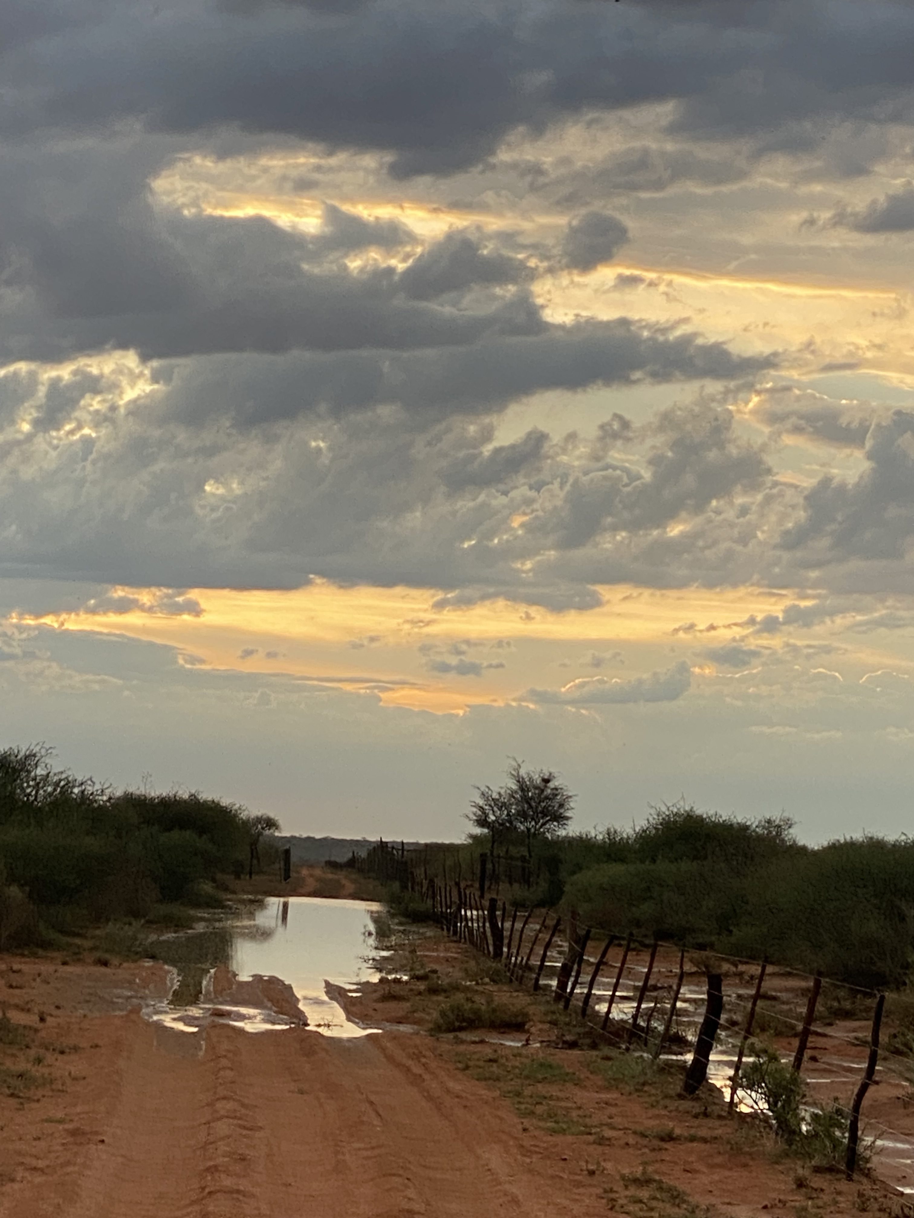 When the Kalahari Sings: Rain, Renewal, and Rustic Bread | My Kalahari ...